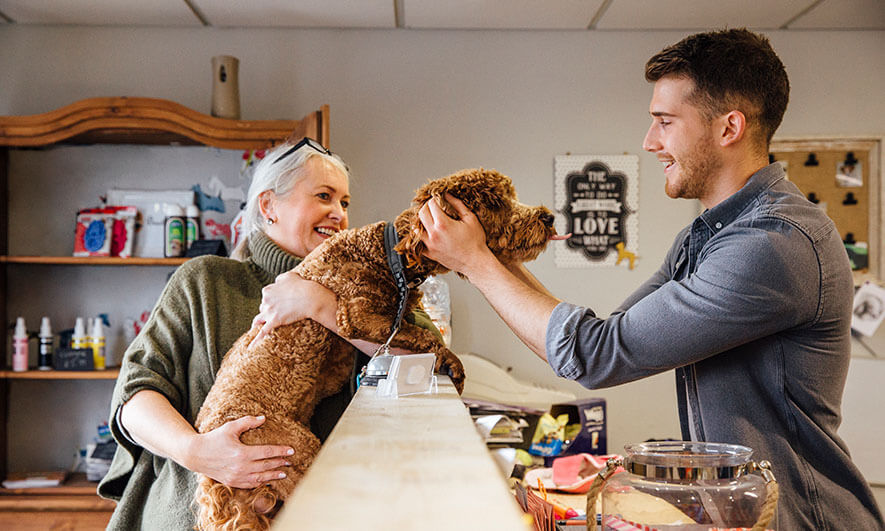 Pet Grooming Insurance Get Dog Grooming Insurance The Hartford Pet Grooming Insurance Get Dog Grooming Insurance The Hartford